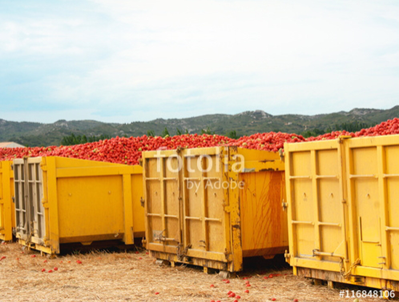 image-accueil-cdal - CDAL